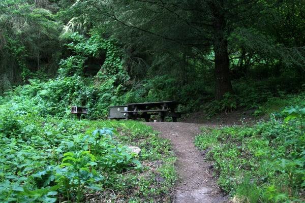 GLEN CAMP - Updated July 2025 - 15 Photos & 12 Reviews - 1 Bear Valley ...