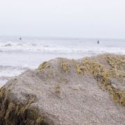 COUNTY LINE BEACH - 94 Photos & 19 Reviews - 11690 Pacific Coast Hwy ...