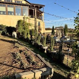 TRATTORIA DI MONTALUCE - Updated July 2025 - 163 Photos & 107 Reviews ...