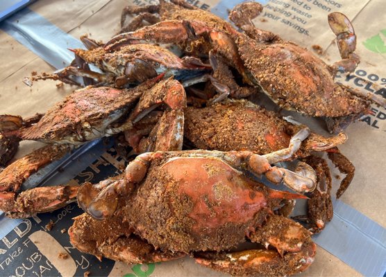 CAPT CRAB - Updated October 2025 - 25 Photos - 4223 Lincoln Hwy E, York ...