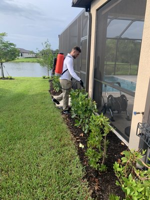 PRODIGY PEST SOLUTIONS - Updated December 2025 - 19 Photos & 44 Reviews ...