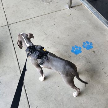 CRITTERS WITHOUT LITTERS - Updated January 2026 - 63 Photos & 132 ...