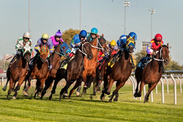 HAWTHORNE RACE COURSE - Updated April 2025 - 23 Photos & 21 Reviews ...