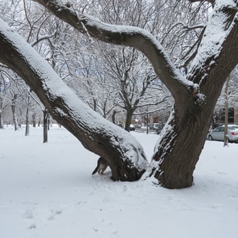 PALMER SQUARE - Updated December 2025 - 42 Photos & 35 Reviews - W ...