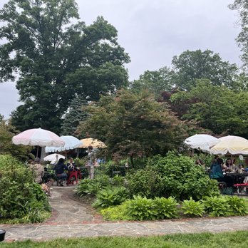 ZINNIA - Updated September 2024 - 323 Photos & 221 Reviews - 9201 ...