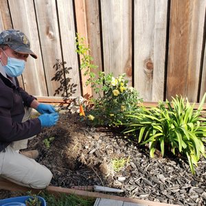 THE GOPHER GUY - 11 Reviews - Pest Control - Moss Beach, CA - Phone ...