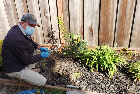 THE GOPHER GUY - Updated July 2025 - 15 Reviews - Moss Beach ...