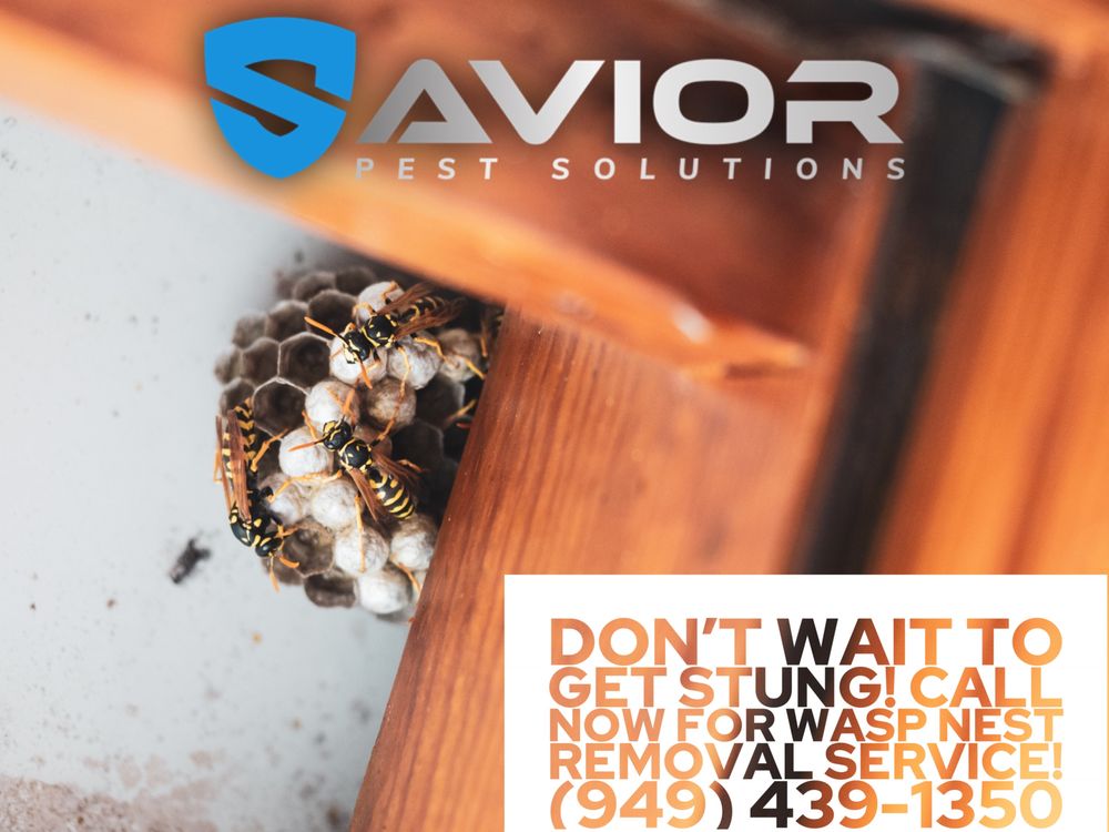 SAVIOR PEST SOLUTIONS - Updated September 2025 - 23 Photos - 58 ...