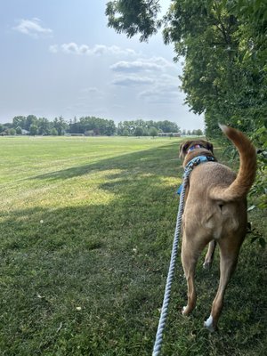 FETCH PET INSURANCE - Updated August 2025 - 16 Photos & 247 Reviews ...