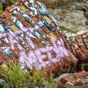 ALBANY BULB - Updated May 2025 - 999 Photos & 245 Reviews - 1 Buchanan ...