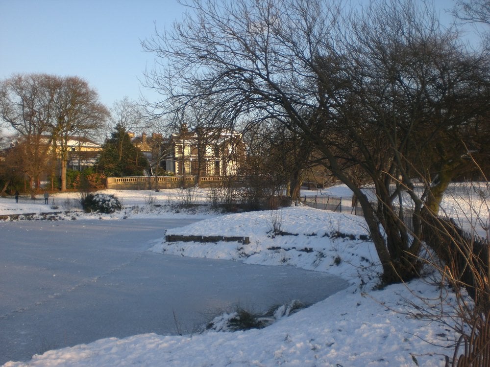 PRINCES PARK - Updated March 2025 - 23 Photos - Princes Avenue ...