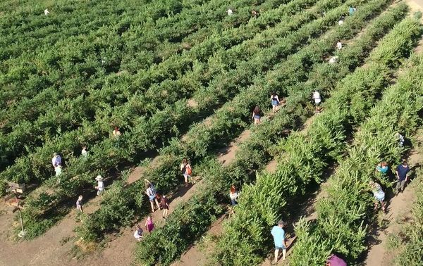 BIG L RANCH - Updated May 2025 - 88 Photos & 10 Reviews - 20899 Ave 322 ...