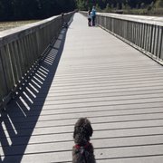 Lake Johnson Park - 204 Photos & 115 Reviews - Parks - 4601 Avent Ferry ...