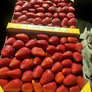 OKUI’S STRAWBERRY N FRUIT STAND - 121 Photos & 93 Reviews - 1234 ...