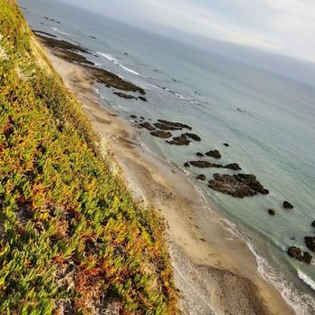 PANTHER BEACH - 443 Photos & 145 Reviews - 10 Miles Hwy 1 N, Santa Cruz ...