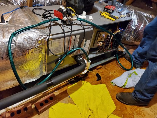 ARS / RESCUE ROOTER - Updated September 2024 - 46 Photos & 115 Reviews ...