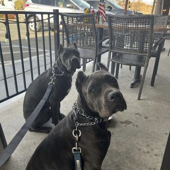 HAWG DAWGS - Updated April 2024 - 115 Photos & 198 Reviews - 200 E Hwy ...