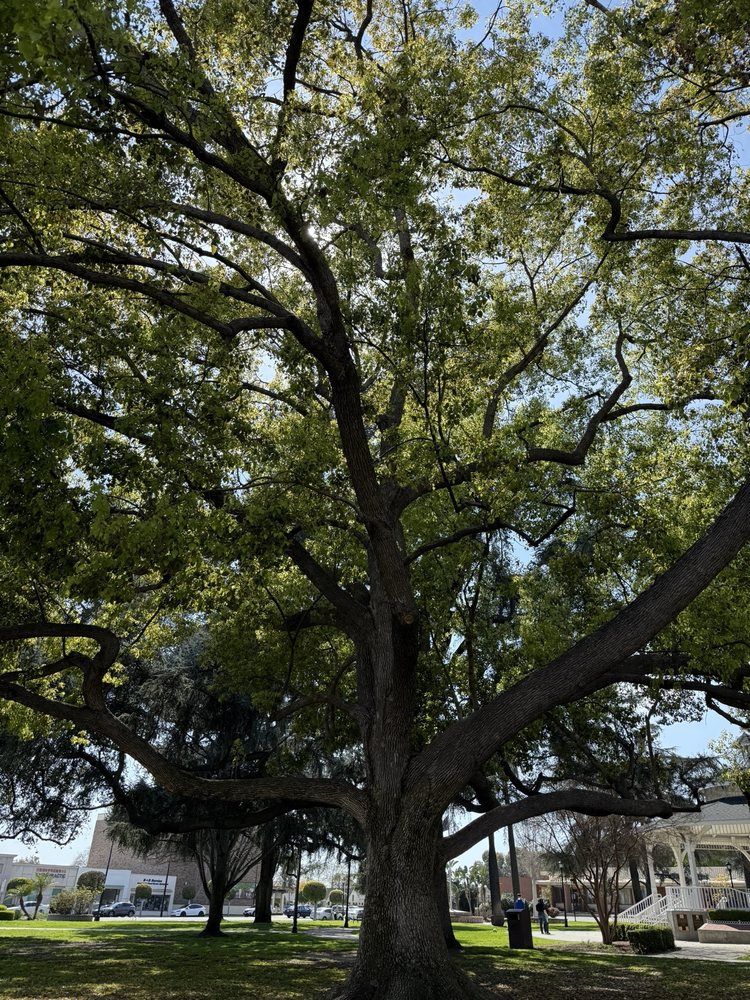 TEMPLE CITY PARK - Updated June 2026 - 191 Photos & 21 Reviews - 9701 ...