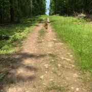 CALLAHAN STATE PARK - 50 Photos & 46 Reviews - Millwood St, Framingham ...