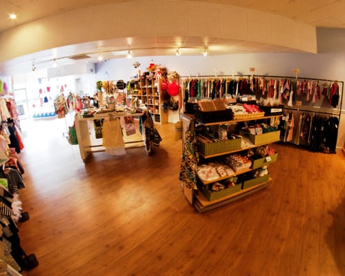 LITTLE BIRD NESTING - Updated October 2025 - 21 Photos & 96 Reviews ...