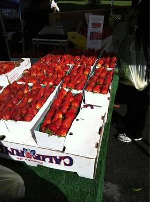 SOUTH GATE FARMERS MARKET - Updated May 2025 - South Gate, California ...