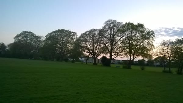 JOHN BURROWS RECREATIONAL PARK - Updated October 2025 - 24 Photos ...