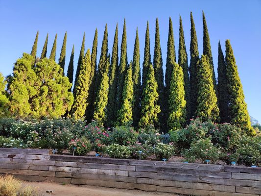 UCR BOTANIC GARDENS - Updated January 2026 - 699 Photos & 136 Reviews ...