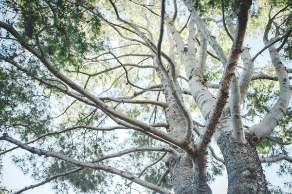 ANDRE LANDSCAPE SERVICE - Updated November 2025 - 26 Photos & 41 ...