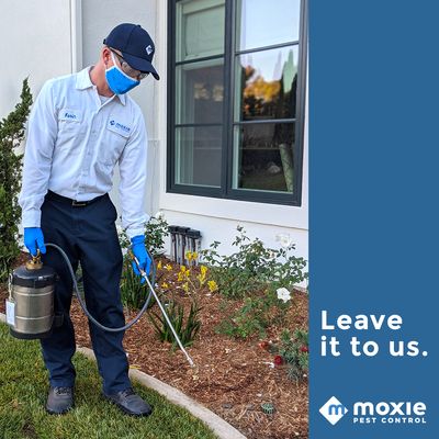 Moxie Pest Control Las Vegas