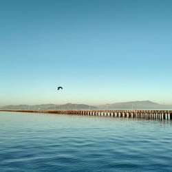 BERKELEY PIER - 140 Photos & 60 Reviews - University Ave, Berkeley, CA ...