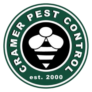 ROCKET PEST CONTROL - Updated October 2025 - 12 Photos & 16 Reviews ...