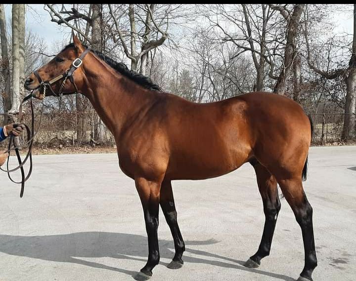 WALMAC FARM - Updated June 2025 - 3395 Paris Pike, Lexington, Kentucky ...