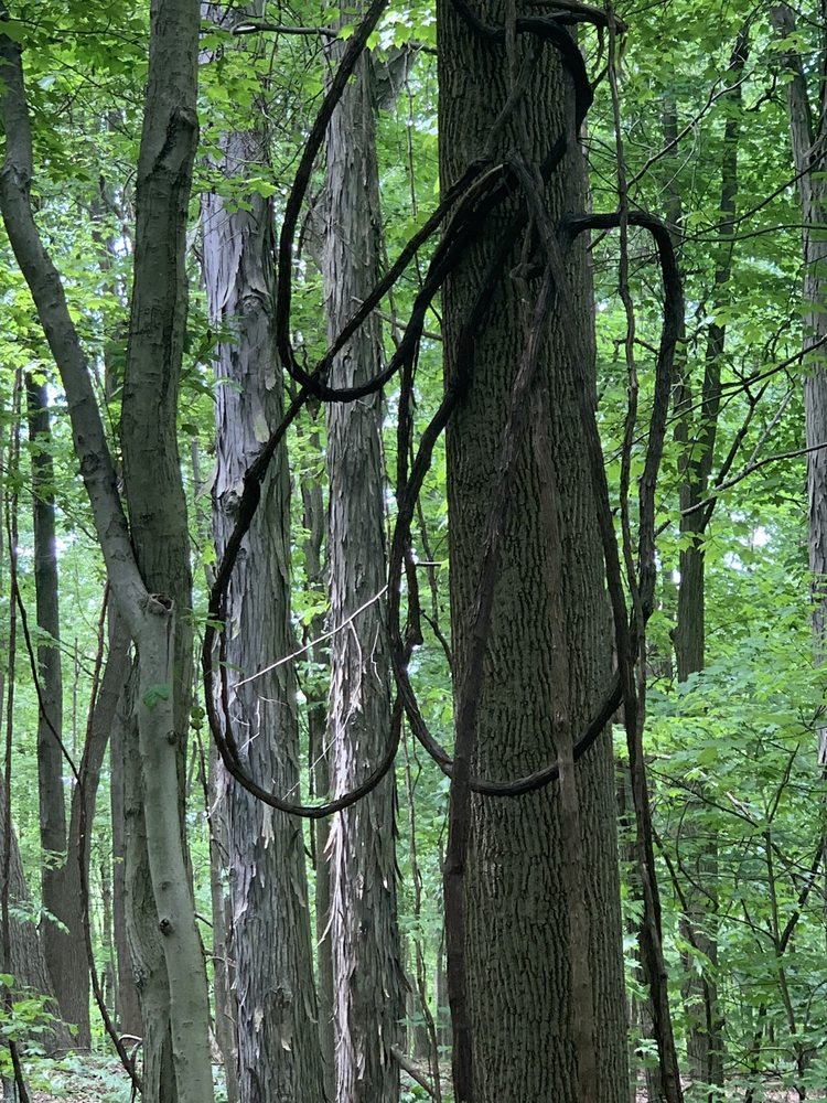 MILL STREAM RUN RESERVATION - Updated May 2025 - 30 Photos ...