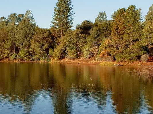 FINNON LAKE RECREATION AREA - Updated August 2025 - 44 Photos & 26 ...