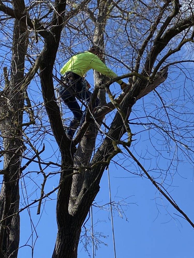 FREEDOM FOREST MANAGEMENT - Updated August 2025 - Request a Quote ...