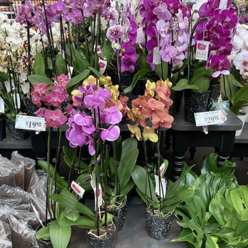 H-E-B - Updated December 2025 - 263 Photos & 43 Reviews - 575 E ...