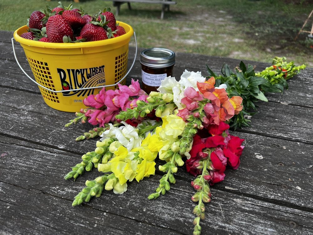 BUCKWHEAT FARM - Updated May 2026 - 32 Photos & 18 Reviews - 2700 ...