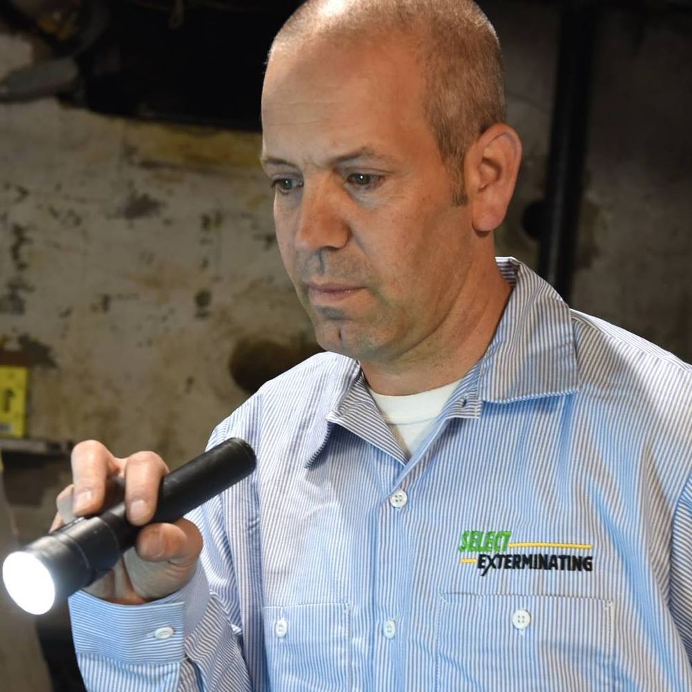 SELECT EXTERMINATING - Updated July 2025 - 59 Photos & 34 Reviews - 332 ...