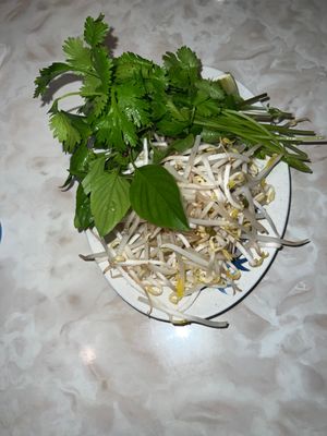 PHO 579 - Updated January 2026 - 150 Photos & 95 Reviews - 11347 ...