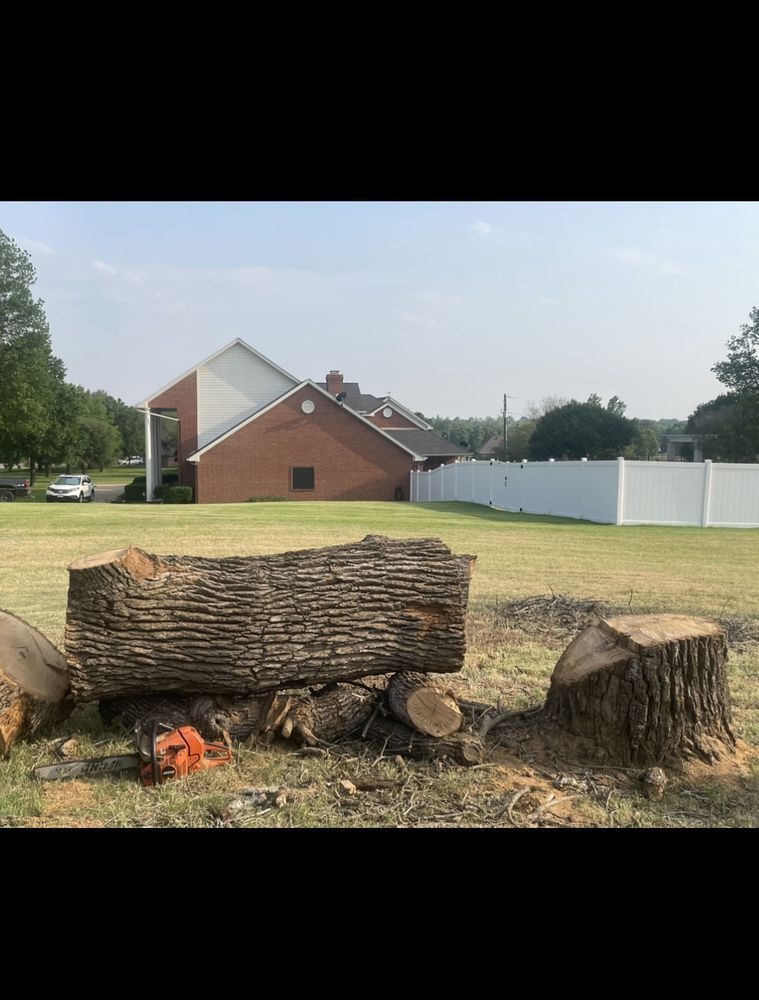 CUT IT DOWN TREE SERVICE - Request a Quote - Little Rock, Arkansas ...