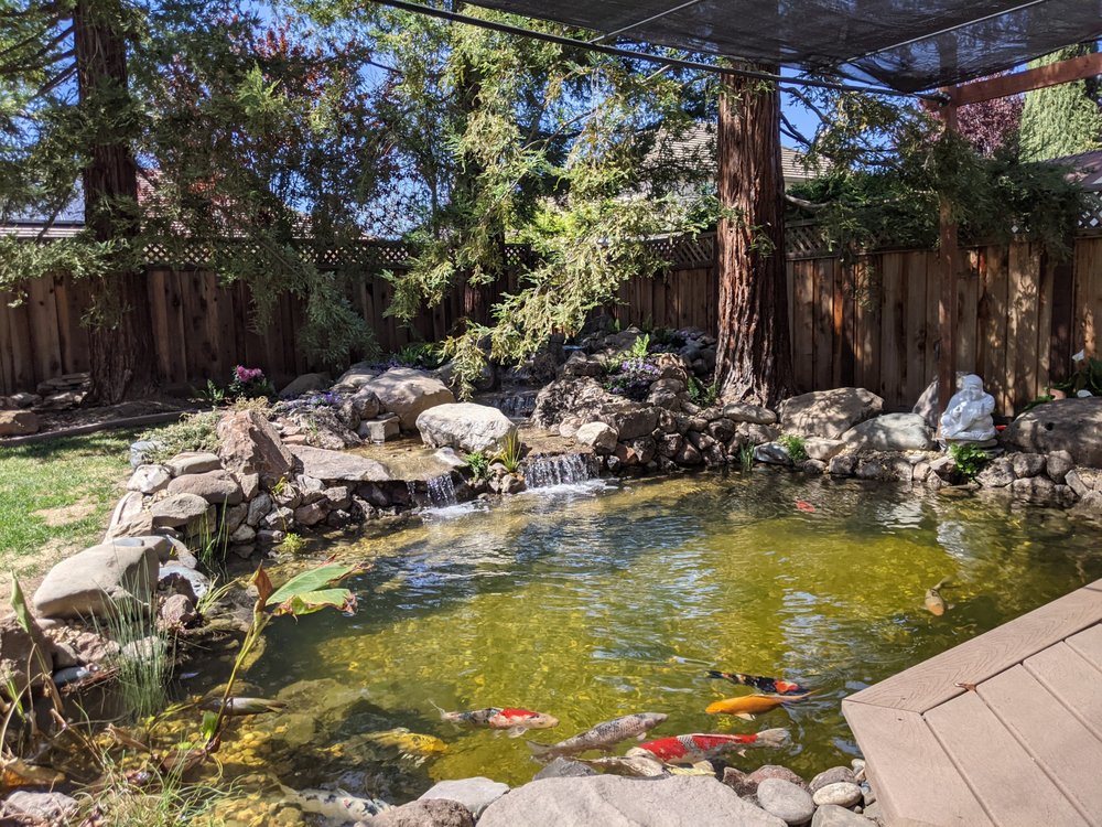 THE WATERFALL GUY - Updated June 2024 - 36 Photos & 14 Reviews ...