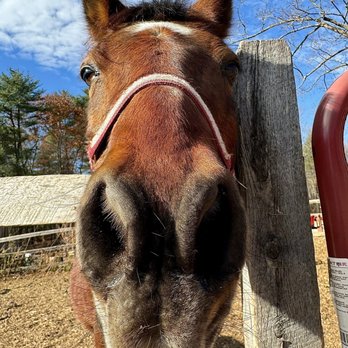 FLAMIG FARM - Updated November 2025 - 393 Photos & 73 Reviews - 7 ...