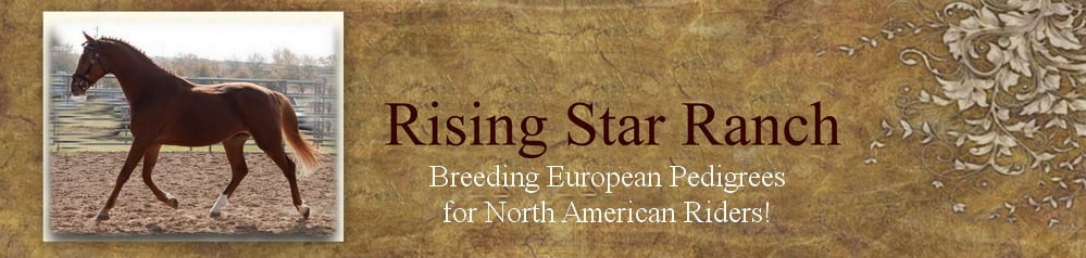 RISING STAR RANCH - Updated April 2024 - 14500 Old Denton Rd, Roanoke ...