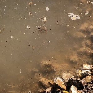 OLYMPIA MANAGEMENT SERVICES - Updated January 2026 - 11411 Southern Highlands Pkwy, Las Vegas ...