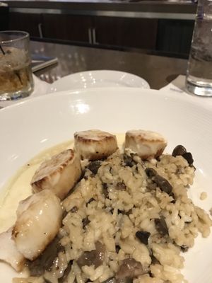 NUTRIO BAR AND RESTAURANT - Updated September 2024 - 11 Photos - 1800 ...