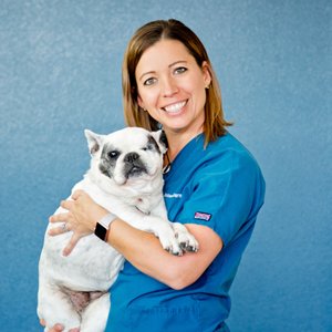 San Diego BAYSIDE VETERINARY HOSPITAL - Updated November 2024 - 87 ...