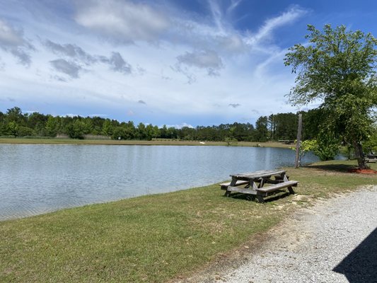 Tyner, NC Map & Directions - MapQuest