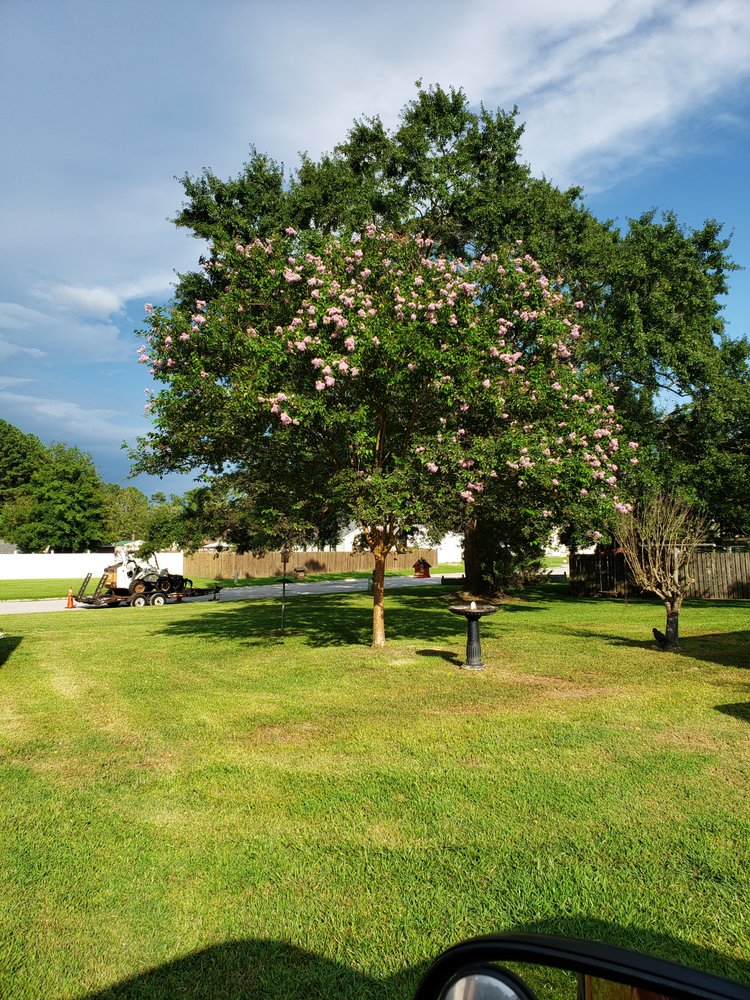 DTR TREE SERVICE - Updated December 2025 - 201 Summersill School Rd ...