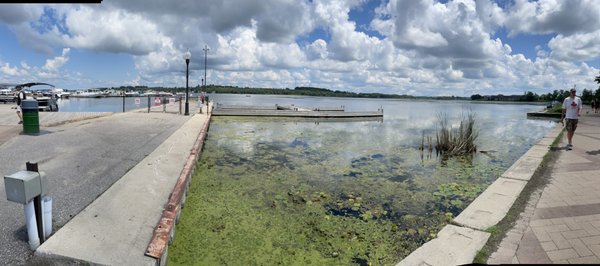 PALMER PARK - Updated December 2025 - 33 Photos - 175 Water Street ...