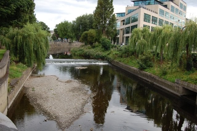 THE RIVER DODDER - Dublin, Dublin, Republic of Ireland - Yelp